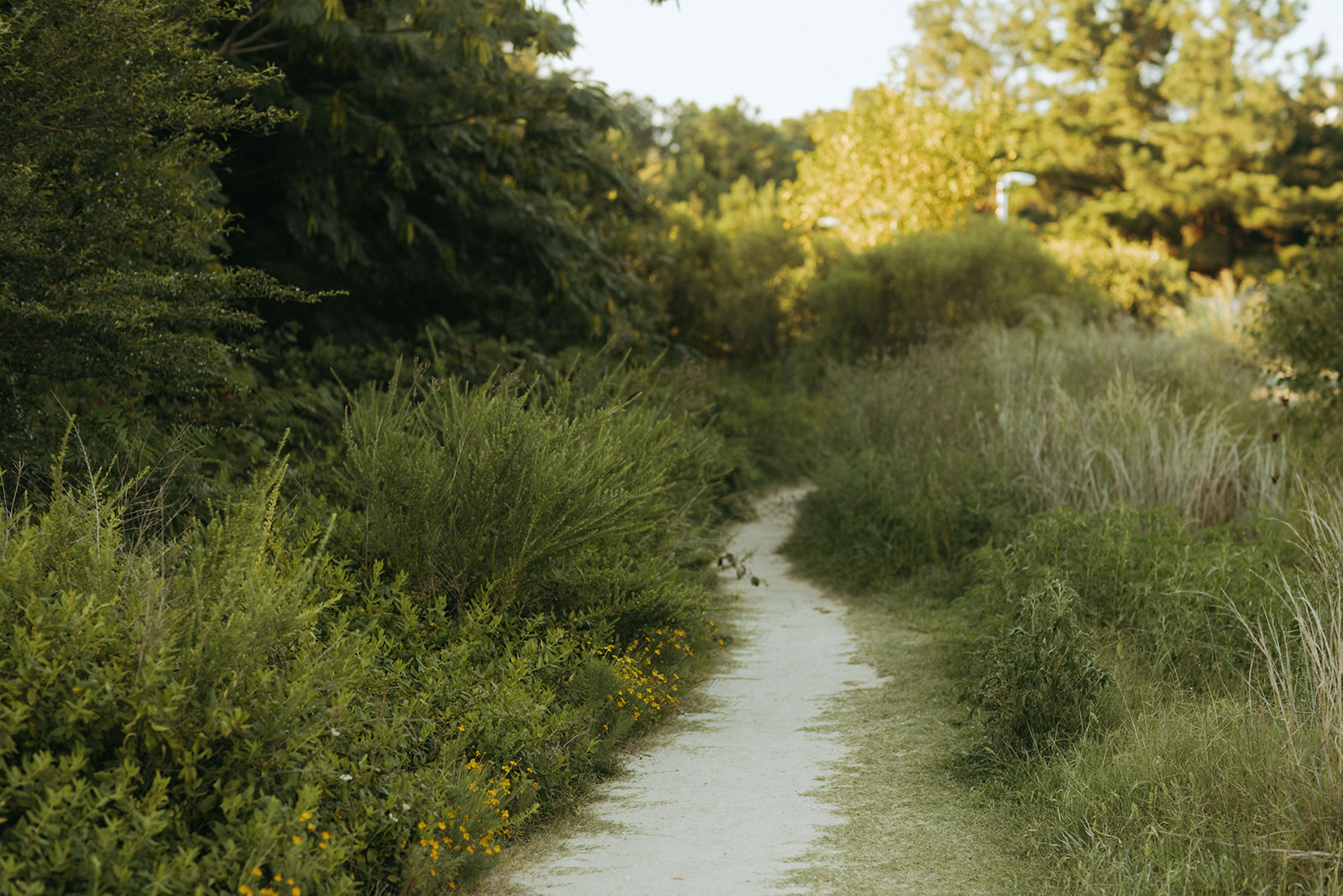Becoming a Virginia Beach Photographer: Why I Love My Home Base