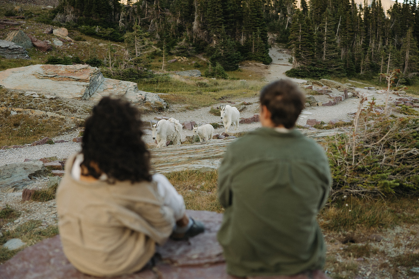 Unexpected Couples Adventure Turned Engagement Session in Glacier ...